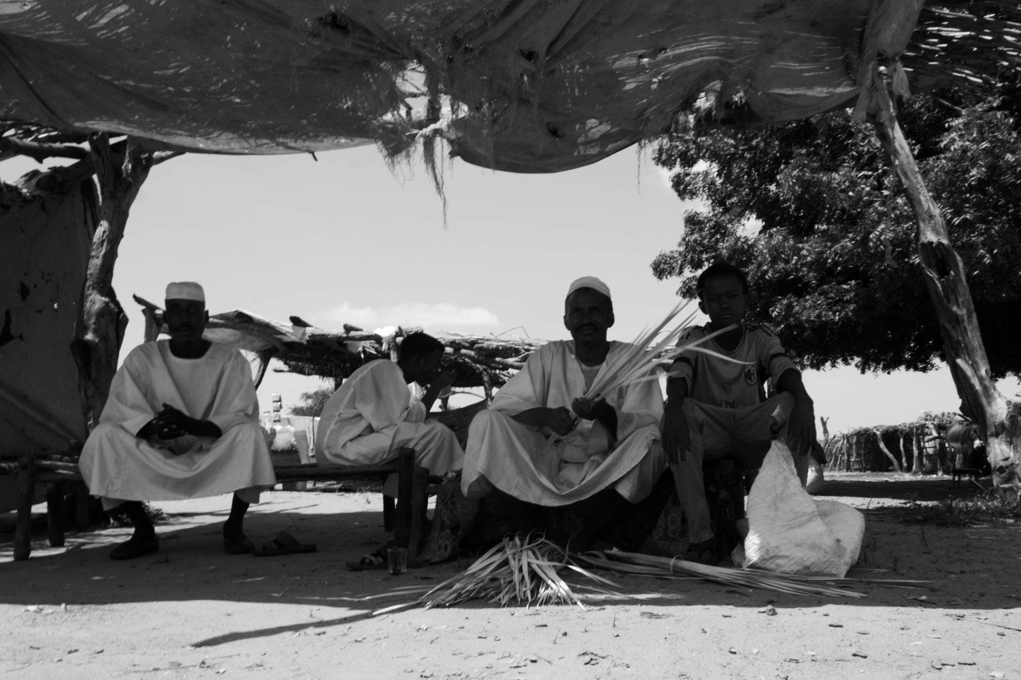 Displaced Lives – Sari Omer