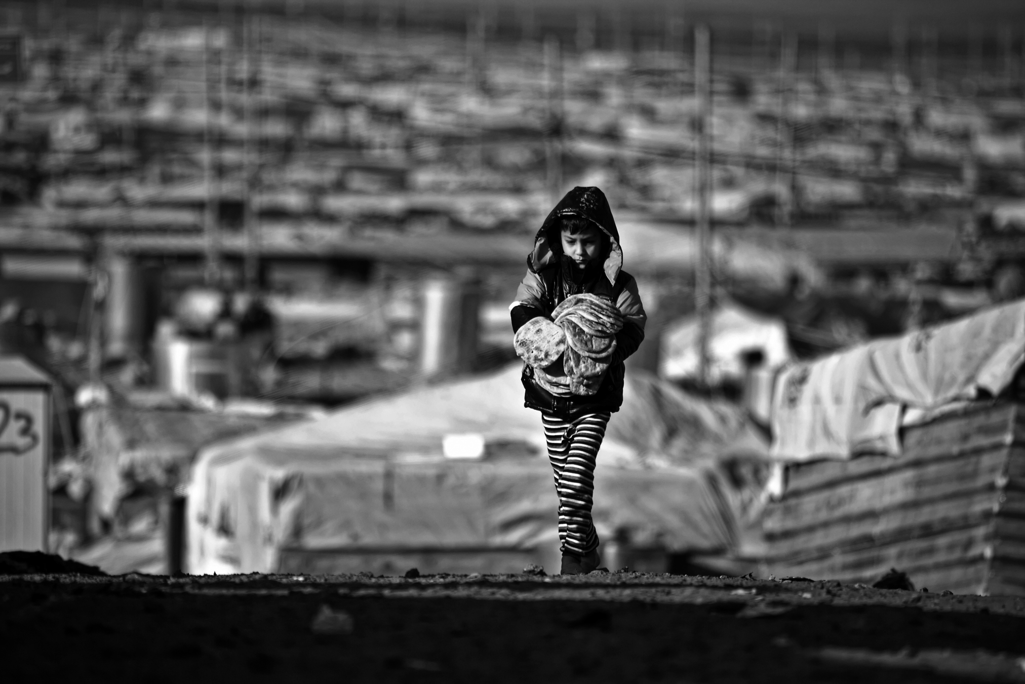 Displaced Homes – Ziauddin Sardar